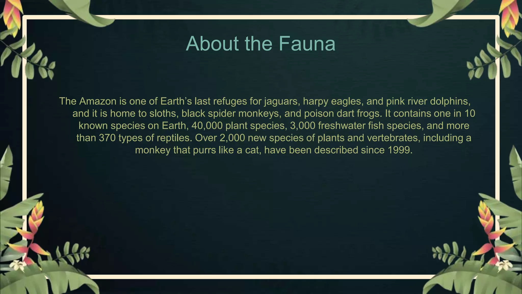 Amazon rainforest.pptx
