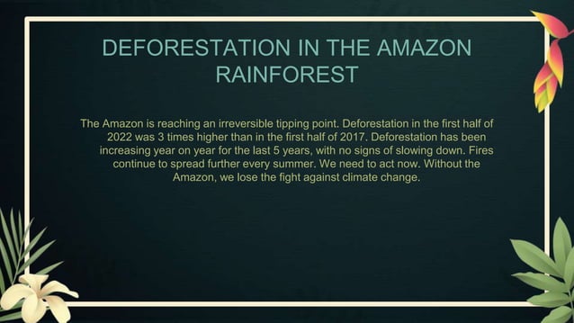 Amazon rainforest.pptx