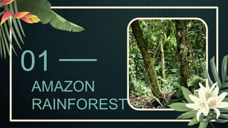 Amazon rainforest.pptx