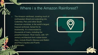 Amazon rainforest.pptx