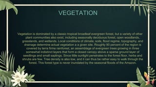 Amazon rainforest.pptx
