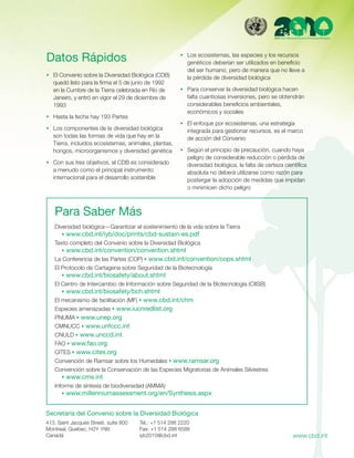 Iyb cbd-factsheet-cbd-es | PDF