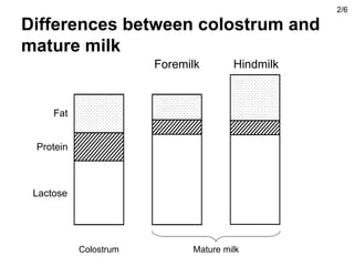 Benefit of breastfeeding and important of breast milk in infant.ppt