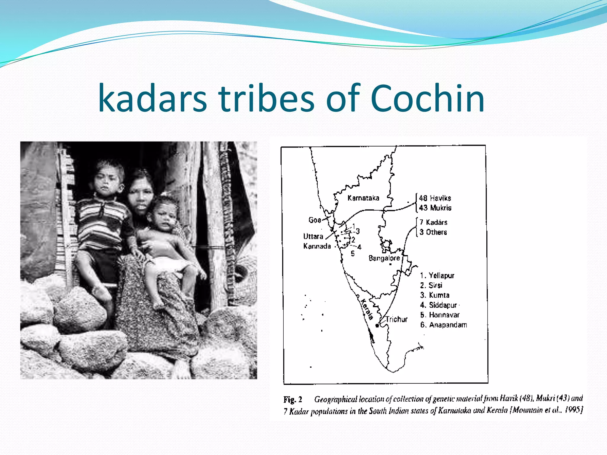 L K ANATHA KRISHNA IYER | PPTX