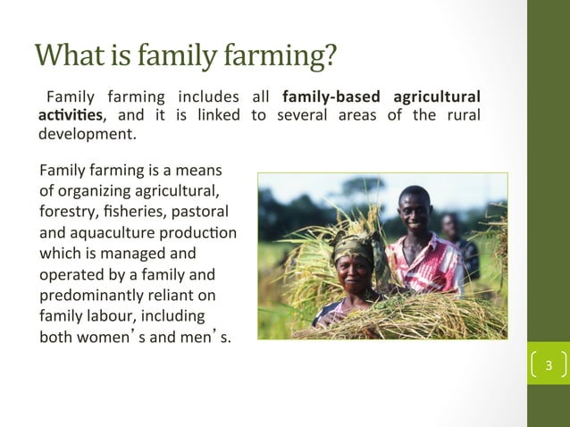International Year of Family Farming 2014 | PPT