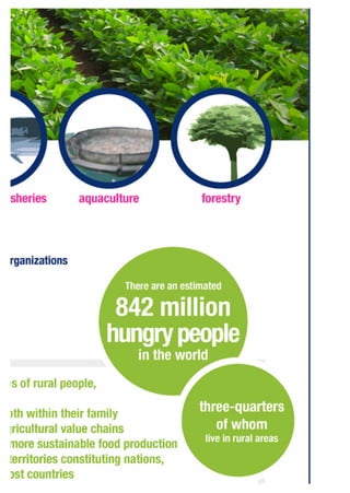 IFAD and International Year of Family Farming (IYFF) | PDF