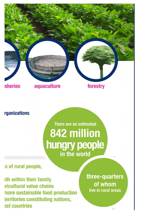 IFAD and International Year of Family Farming (IYFF) | PDF