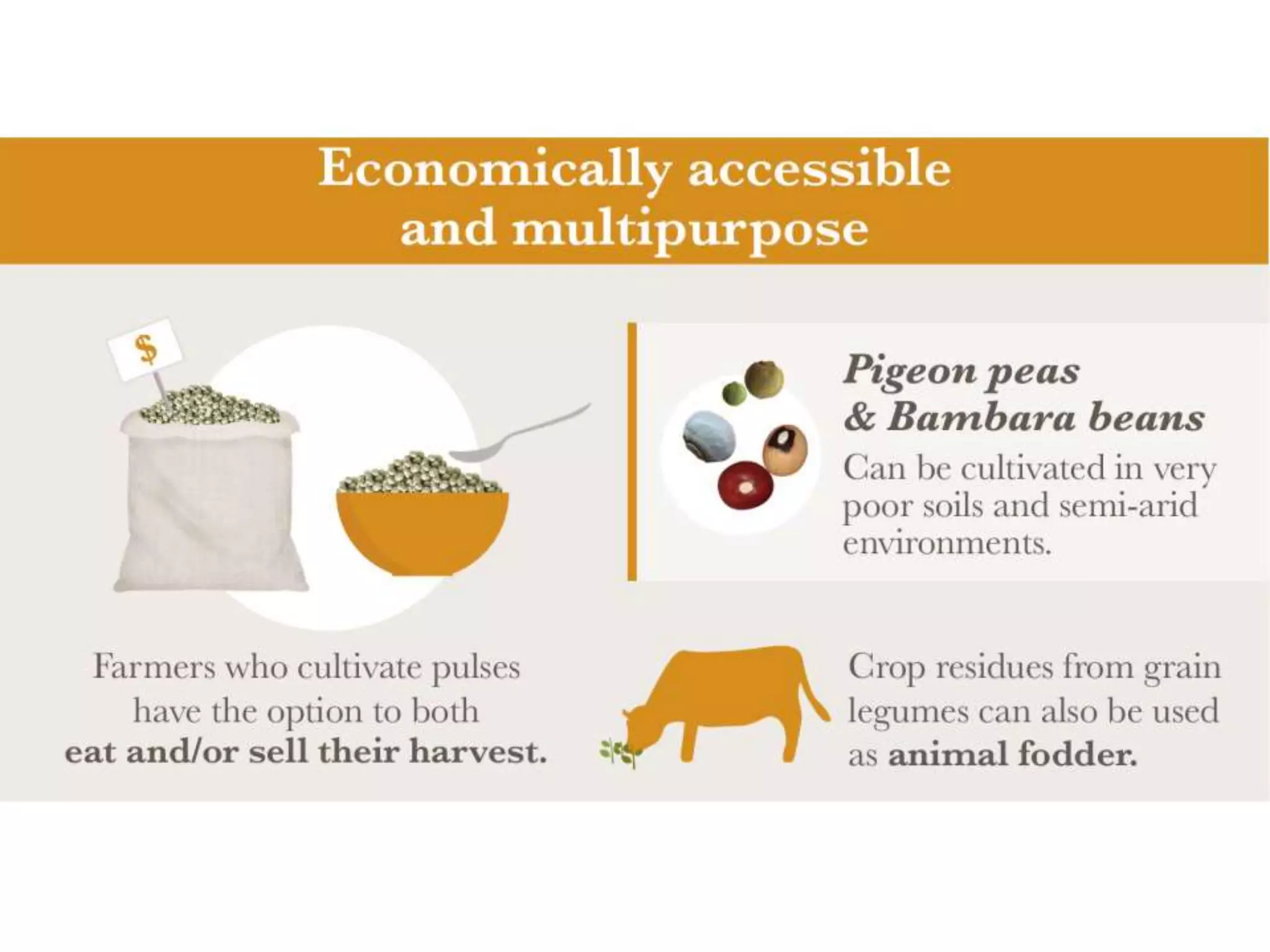 Pulses - surprising facts you might not know | PPTX