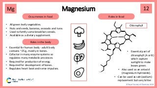 IYPT2019_food_periodic_table_tcm18-252034.pdf