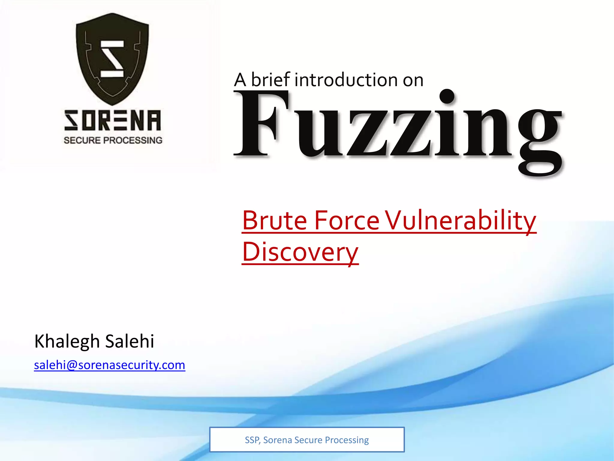 Fuzzing | PPTX