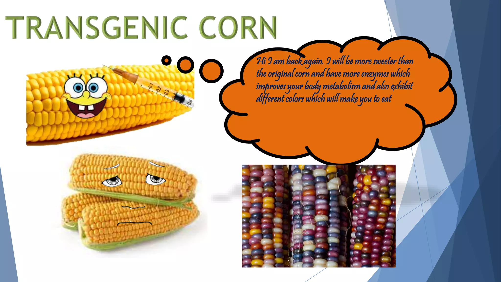 Genetically modified crops a boon for nature | PPTX