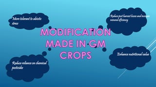 Genetically modified crops a boon for nature | PPTX