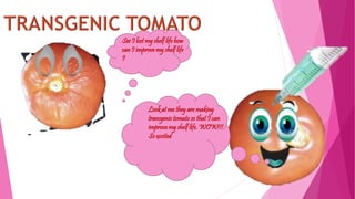 Genetically modified crops a boon for nature | PPTX