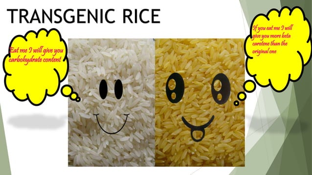 Genetically modified crops a boon for nature | PPT