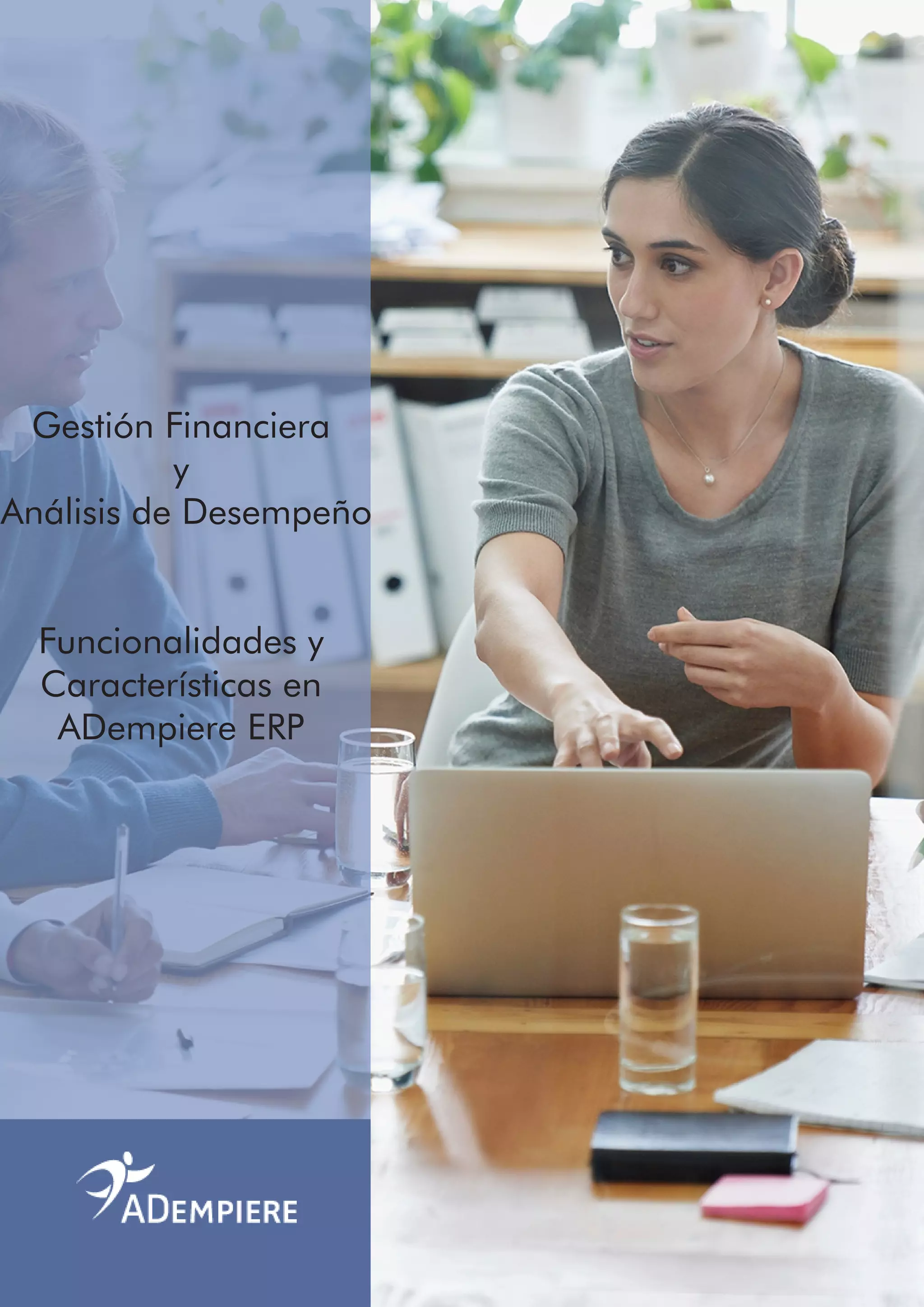Gestión financiera ADempiere | PDF