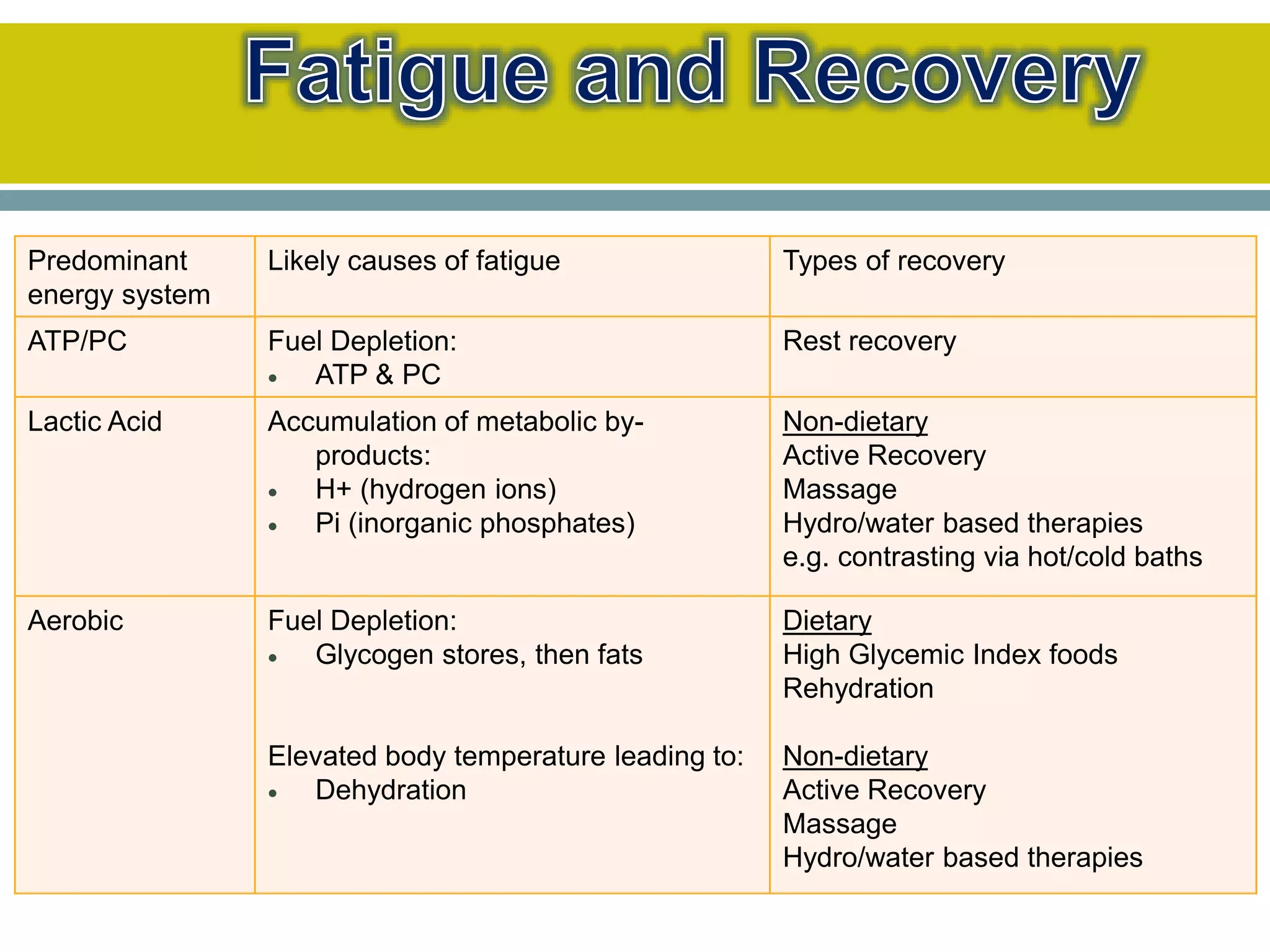 Skeletal Muscle Fatigue and Cellular Mechanisms | PPTX