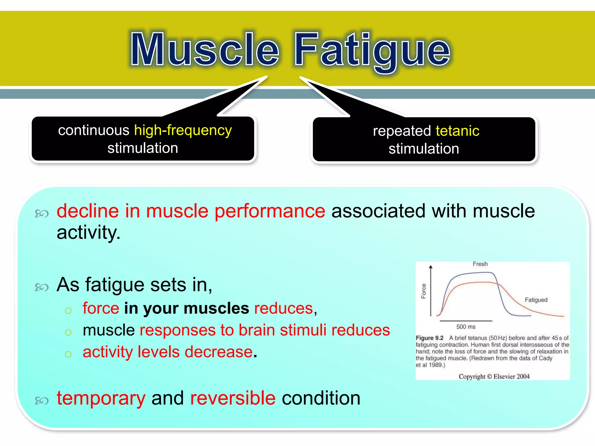 Skeletal Muscle Fatigue and Cellular Mechanisms | PPTX