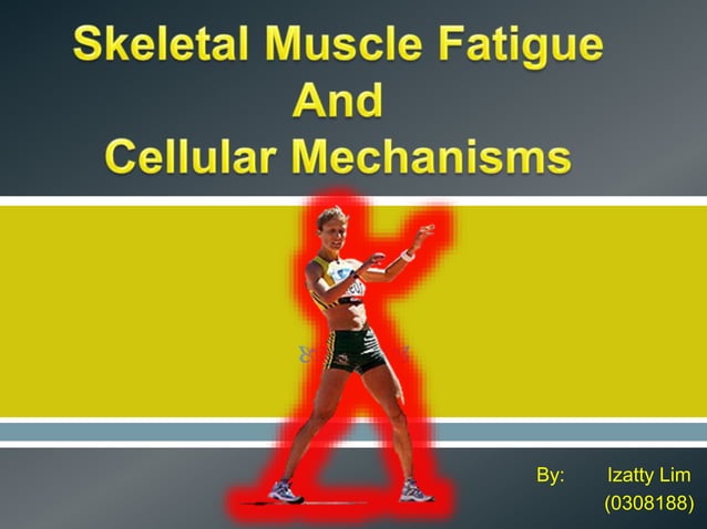 Skeletal Muscle Fatigue and Cellular Mechanisms | PPTX