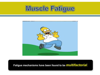 Skeletal Muscle Fatigue and Cellular Mechanisms | PPTX