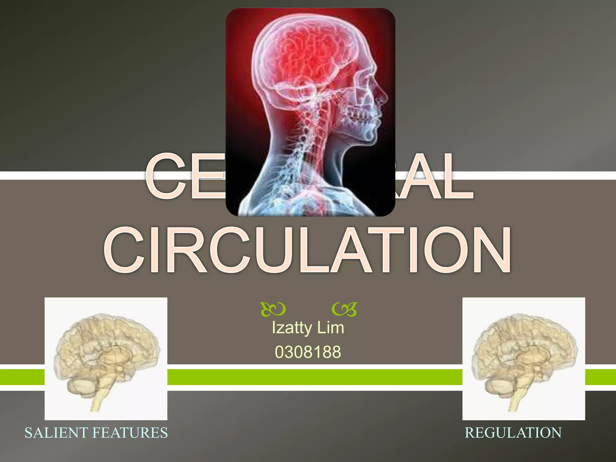 Cerebral Circulation | PPT