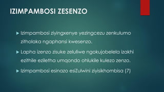 IZIMPAMBOSI ZESENZO (VERB DERIVATIVES).pdf