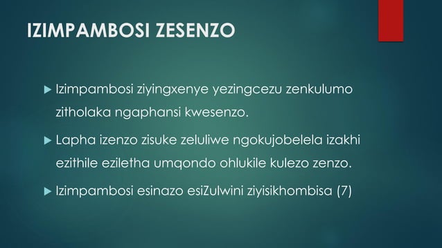IZIMPAMBOSI ZESENZO (VERB DERIVATIVES).pdf