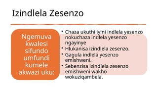 Izindlela Zesenzo - BP Faltein.pptx