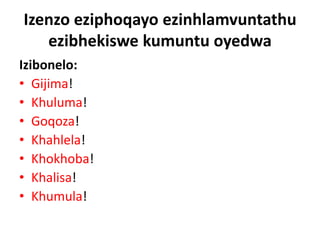 Izindlela zesenzo (2) | PPTX