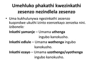 Izindlela zesenzo (2) | PPTX