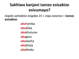 Izindlela zesenzo (2) | PPTX