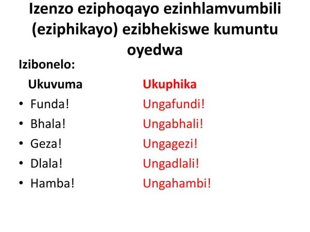 Izindlela zesenzo (2) | PPTX