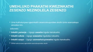 Izindlela zesenzo tst3 b | PPTX