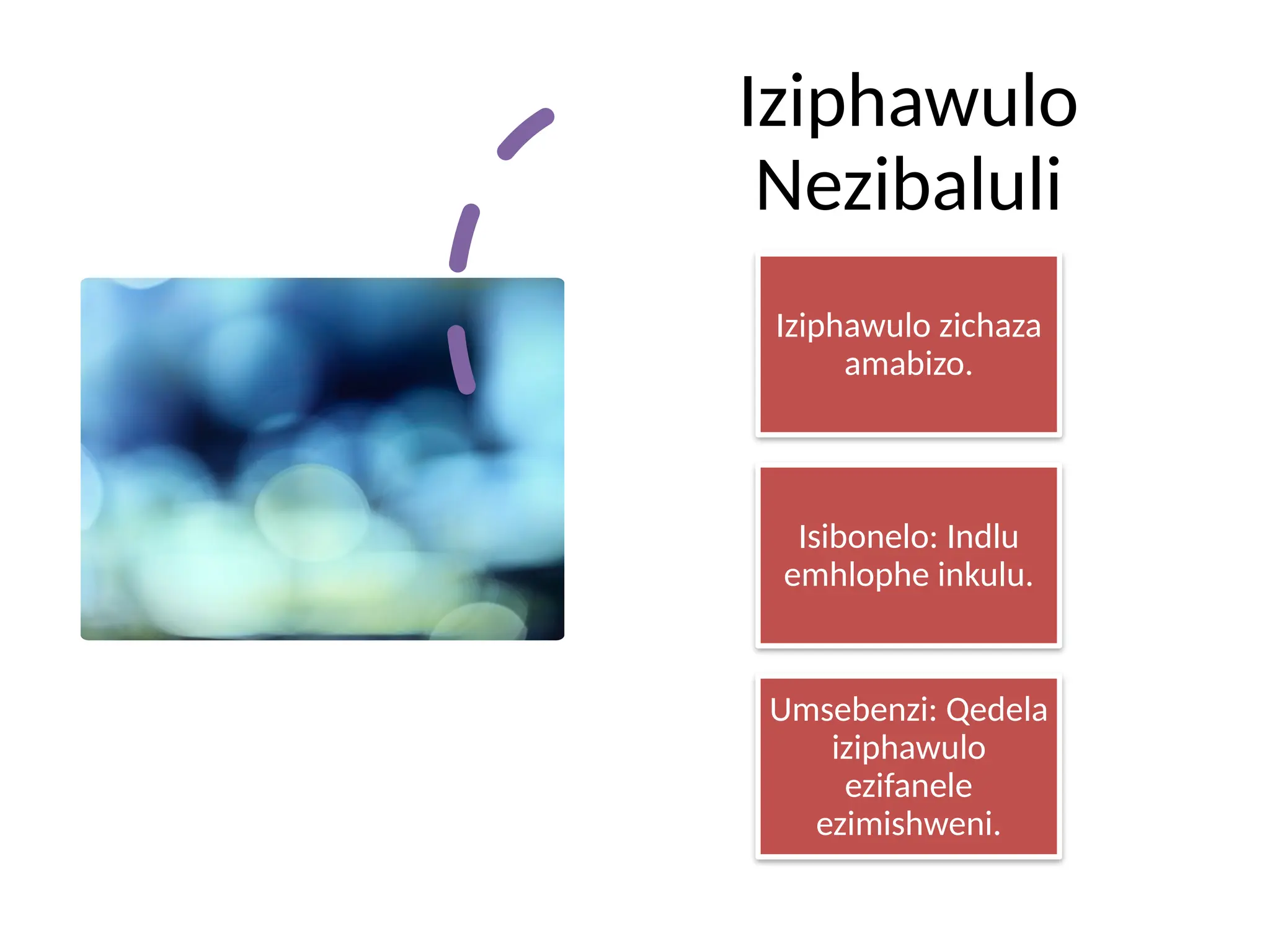 Izingcezu Zenkulumo_Grade7 Ukufingqa.pptx