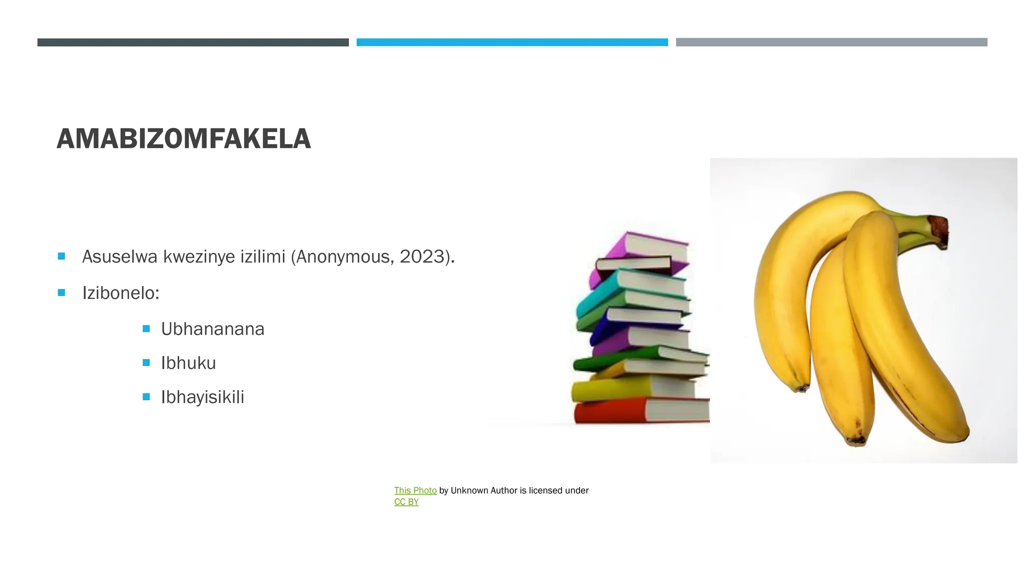 Izinhlobo Zamabizo (Types of Nouns) IsiZulu Ibanga 8 | PDF