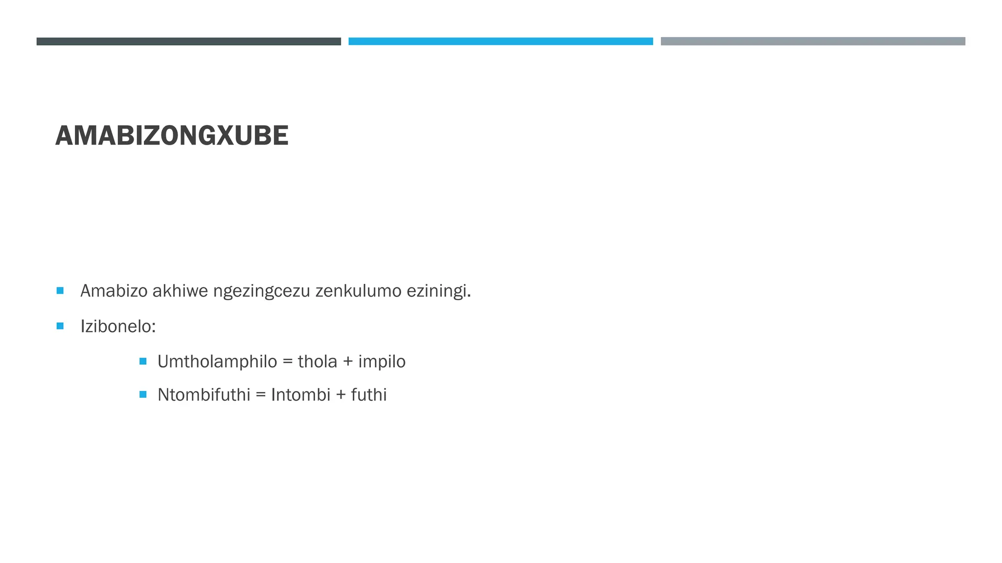 Izinhlobo Zamabizo (Types of Nouns) IsiZulu Ibanga 8 | PDF