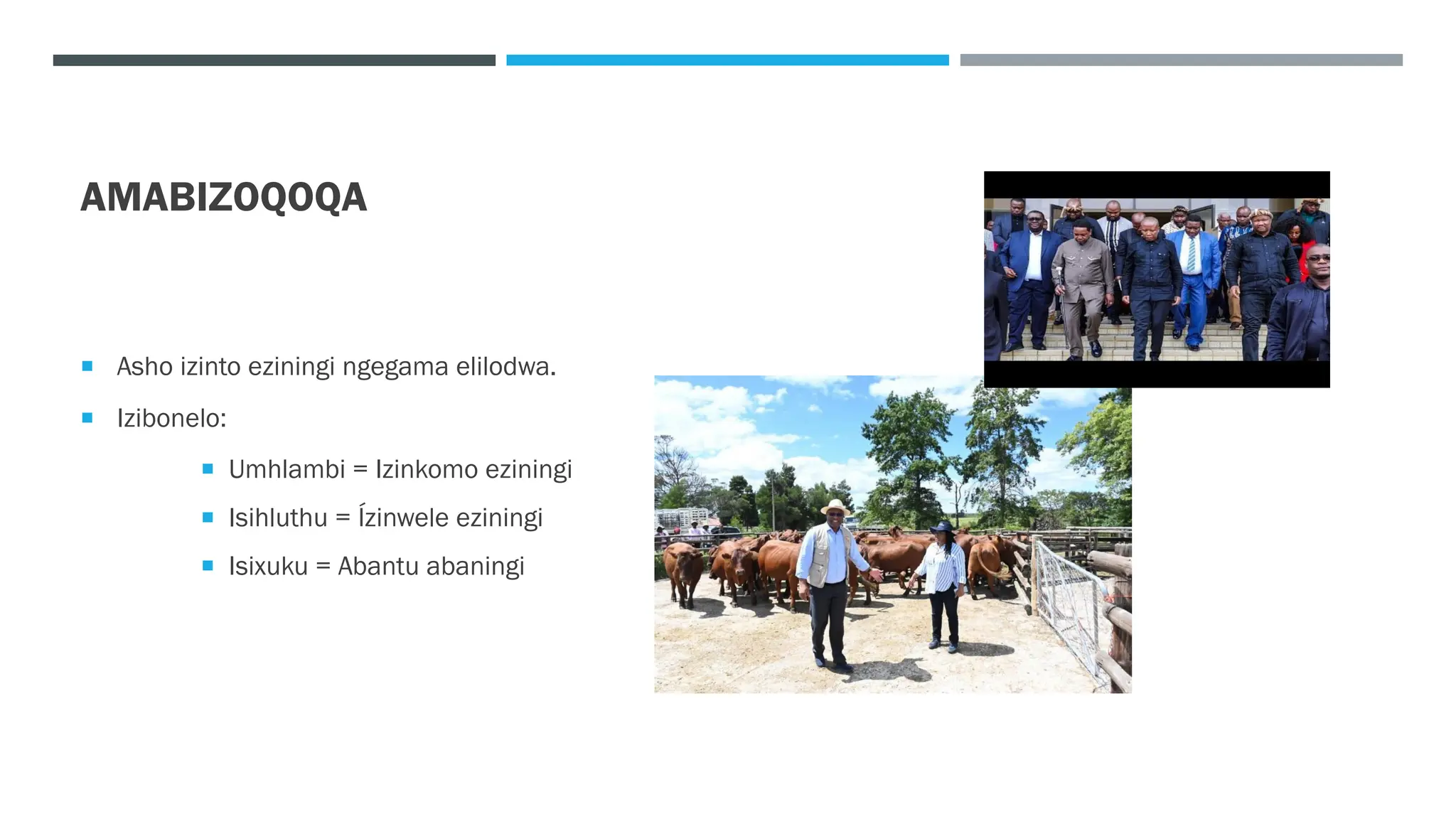 Izinhlobo Zamabizo (Types of Nouns) IsiZulu Ibanga 8 | PDF