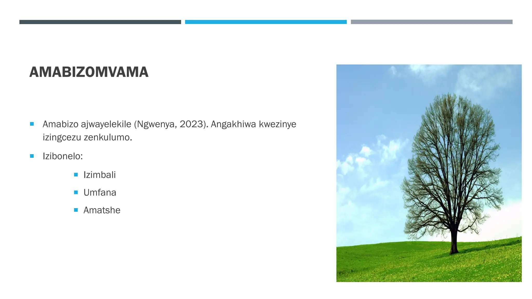 Izinhlobo Zamabizo (Types of Nouns) IsiZulu Ibanga 8 | PDF