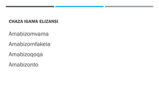 Izinhlobo Zamabizo (Types of Nouns) IsiZulu Ibanga 8 | PDF