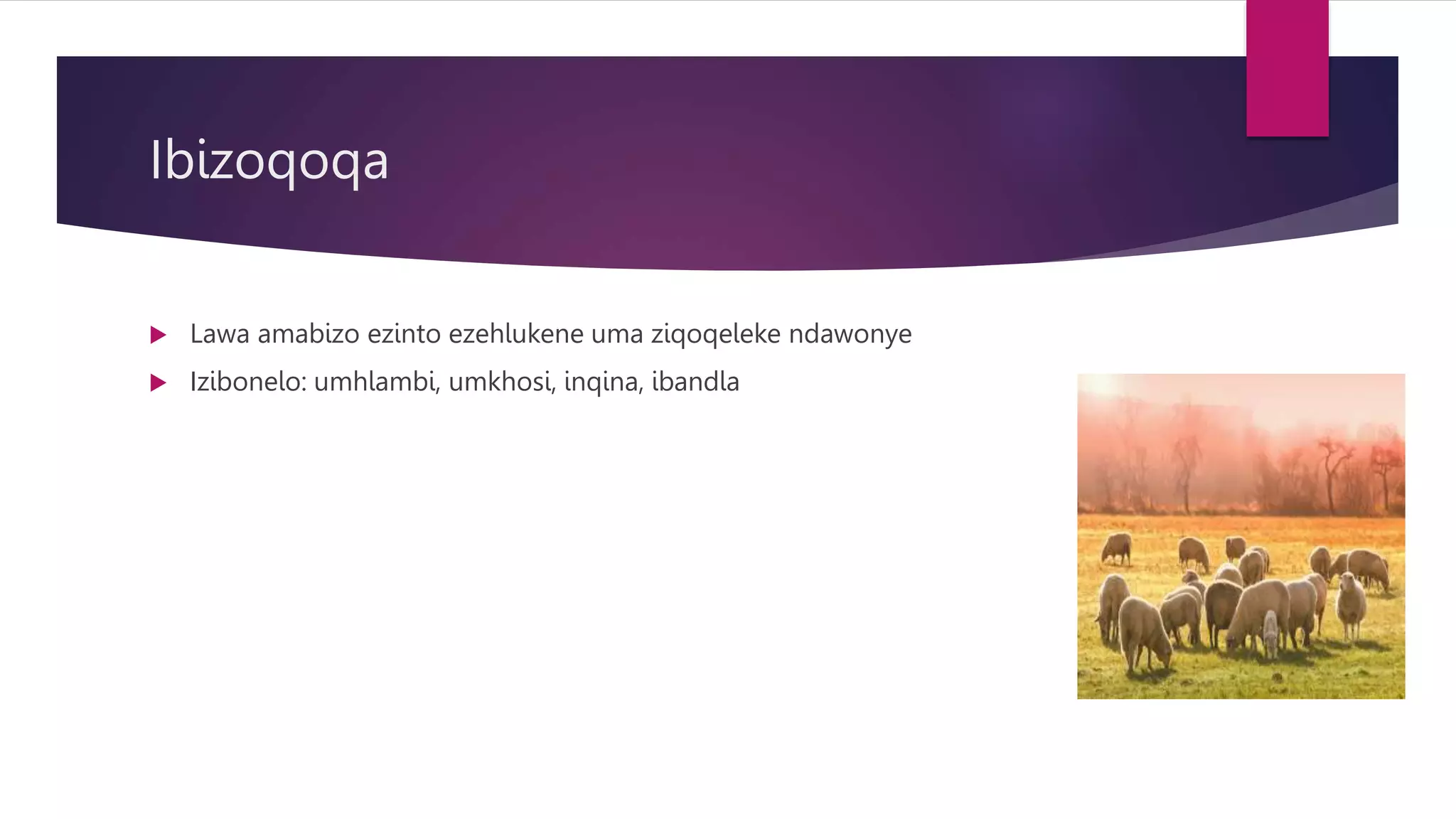 Izinhlobo zamabizo grade 10.pptx