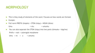 IZINHLOBO ZEMISHO.pptx