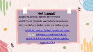 Izinkathi Zesenzo Tenses: How verbs are changed into other tenses | PPTX