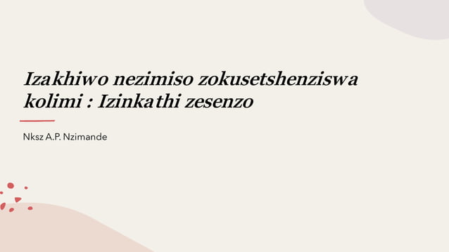 IZINKATHI ZESENZO | PDF