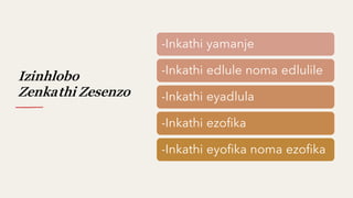 IZINKATHI ZESENZO | PDF