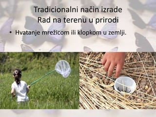 Izrada zbirke insekata | PPTX