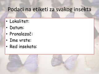 Izrada zbirke insekata | PPTX