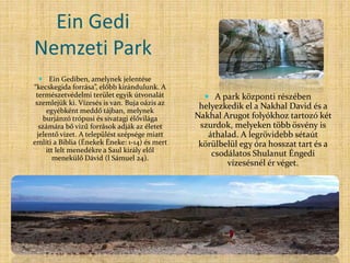 Izrael | PPT