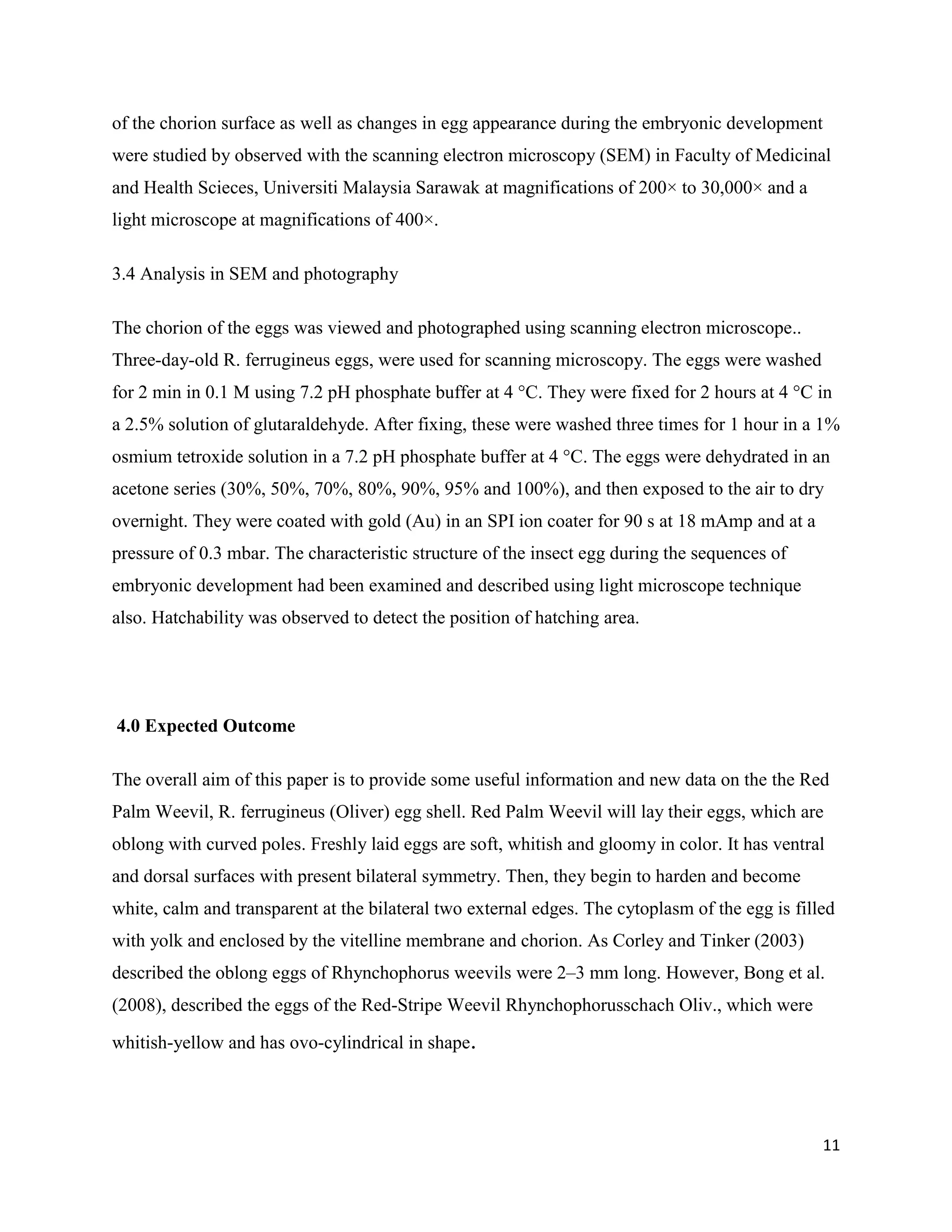 Morphology of the Egg Shell and the Developing Embryo of the Red Palm ...