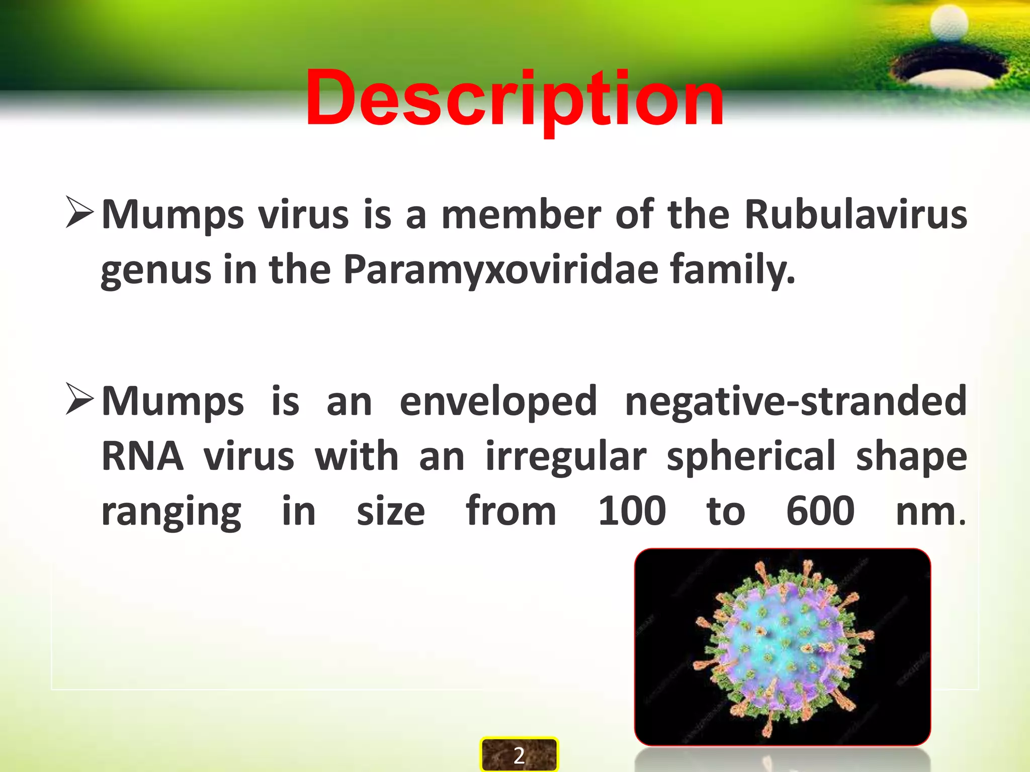 Izzatullah presentation mumps virus | PPTX