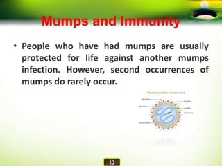 Izzatullah presentation mumps virus | PPTX | Ear, Nose and Throat ...