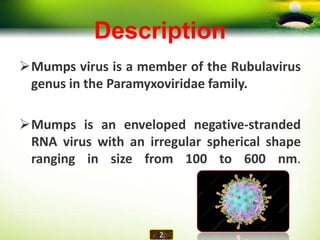 Izzatullah presentation mumps virus | PPTX | Ear, Nose and Throat ...